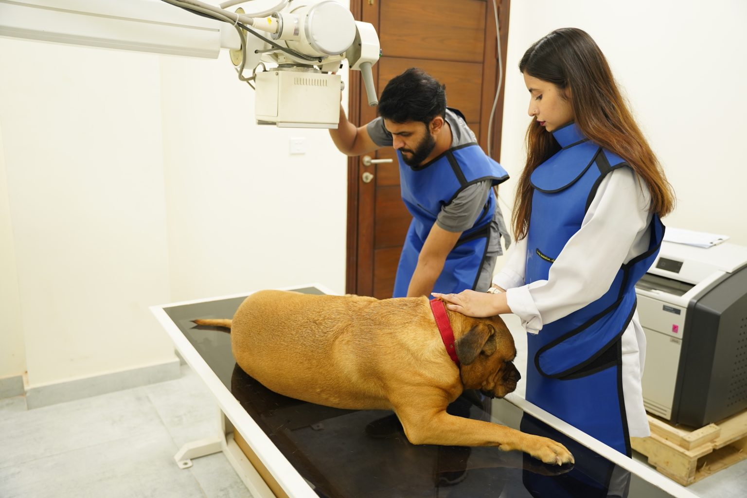 Round Lake Animal Hospital - DHA Lahore